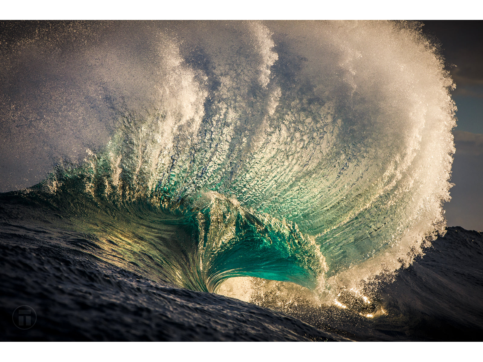 "Crystal Phoenix" Fine Art Print by Thurston Photo