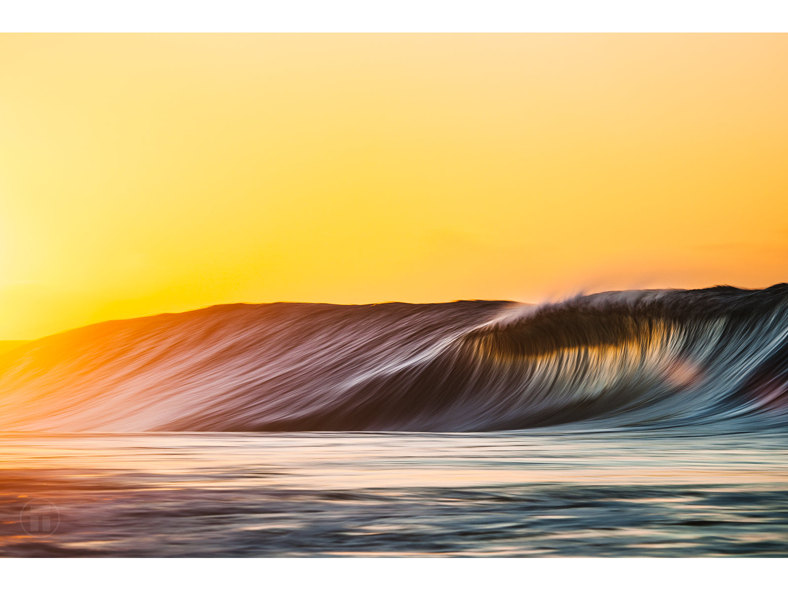 "Fidelity" Fine Art Print by Thurston Photo