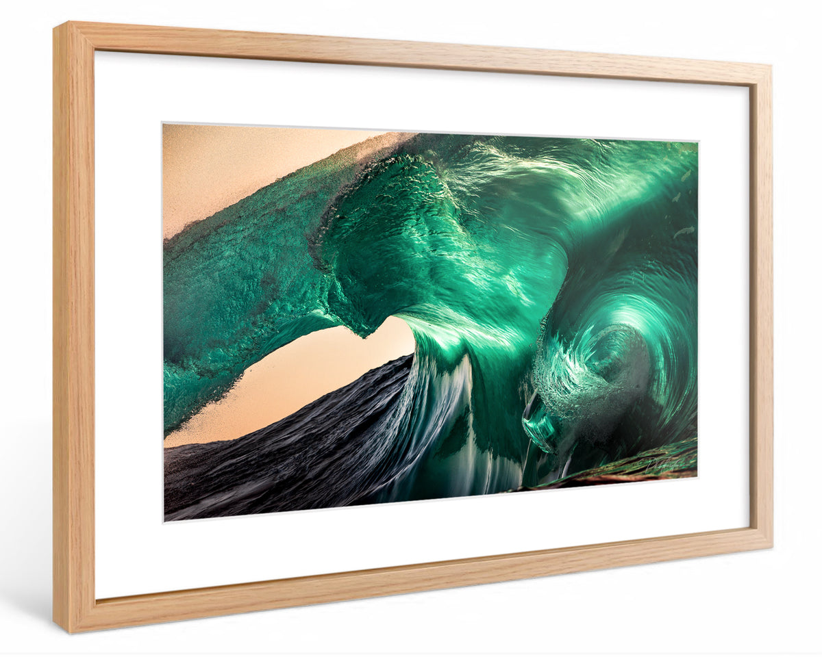 "The Hydra" Fine Art Print by Thurston Photo