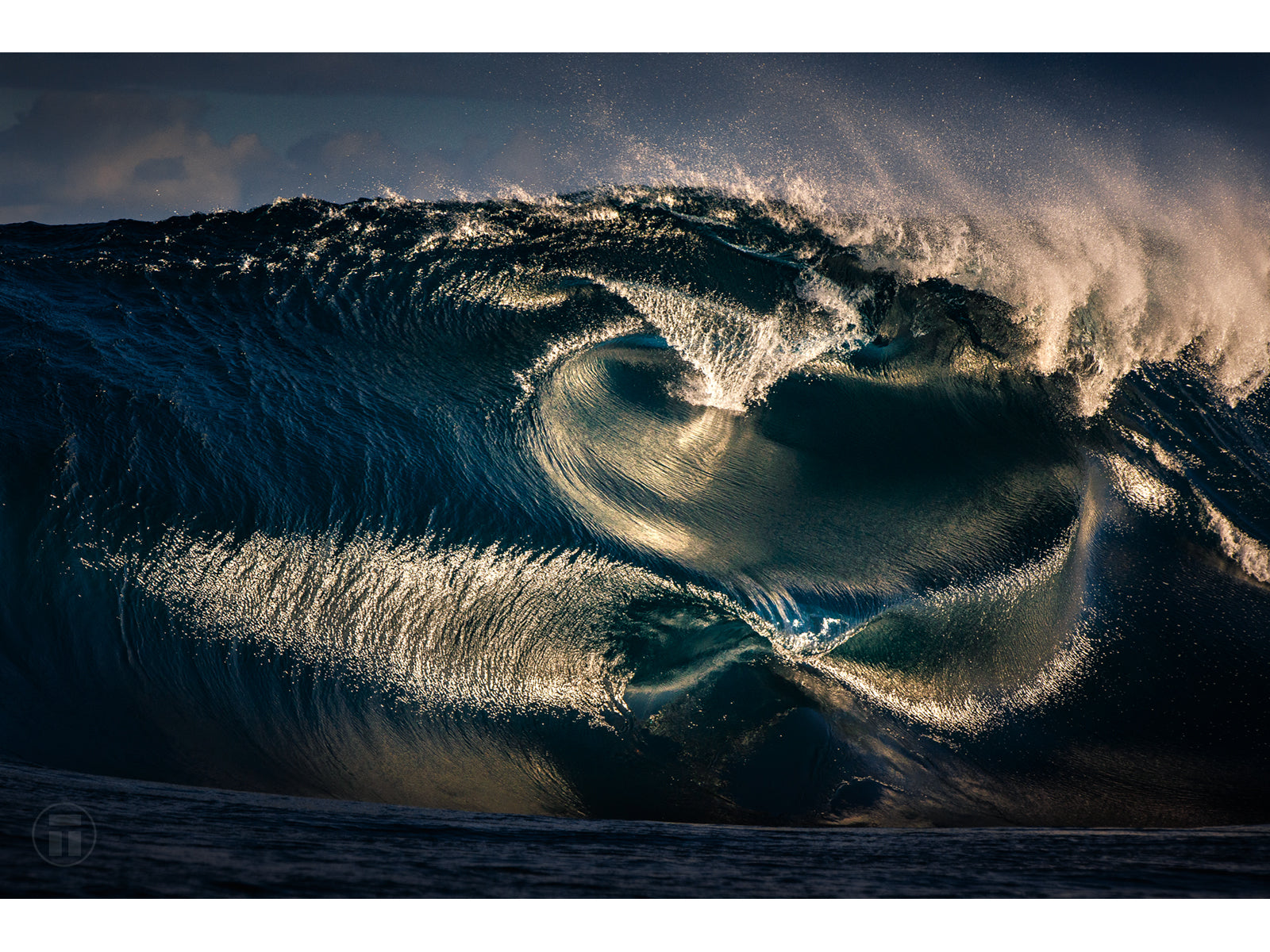 "Twin Fin" Fine Art Print by Thurston Photo