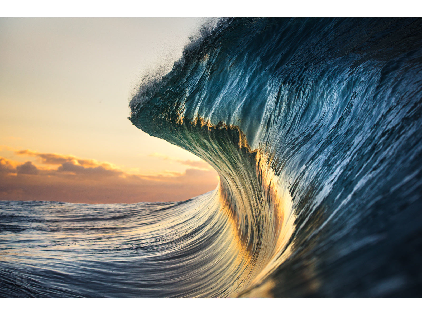 "Zest" Fine Art Print by Thurston Photo